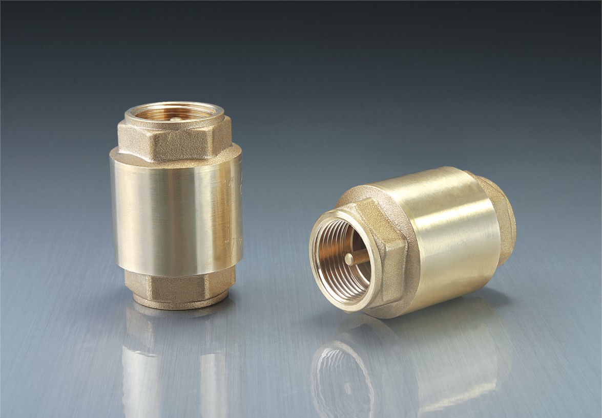 BW-C02 brass spring check valve with brass core - BESTWAY | BMAG Valves