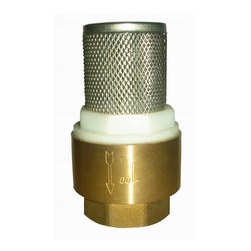 BW-C09 brass spring check valve with filter - BMAG Valves | BESTWAY